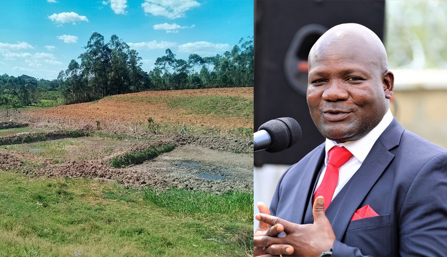 Governor Barasa’s Fish Farming Initiative In Kakamega, Matikho Josephat ...
